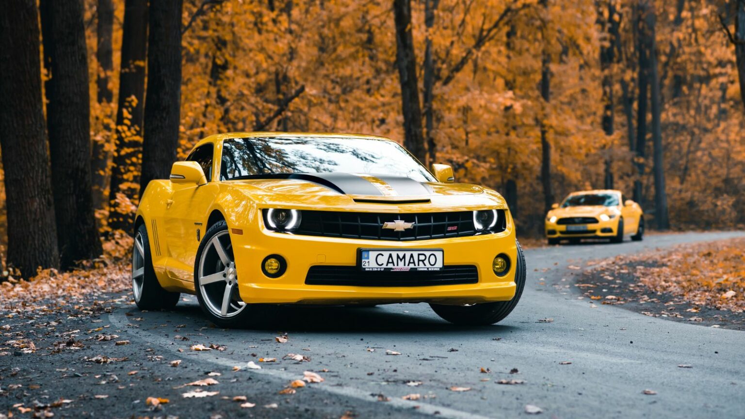 25 Coupes That Are More Than Just Pretty Faces — Durability Meets ...