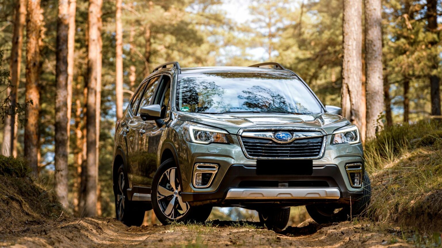 14 Cars Known for Their Superior Handling in Harsh Weather – Storm ...