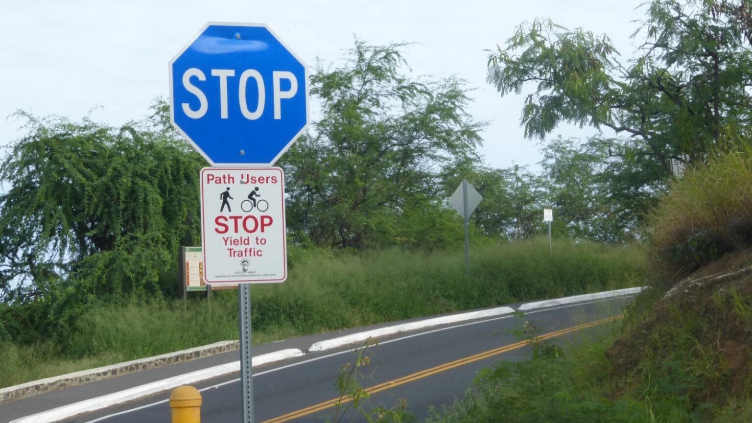 Yes, Blue Stop Signs Are Real — Here’s Why You’re Seeing Them - Get ...