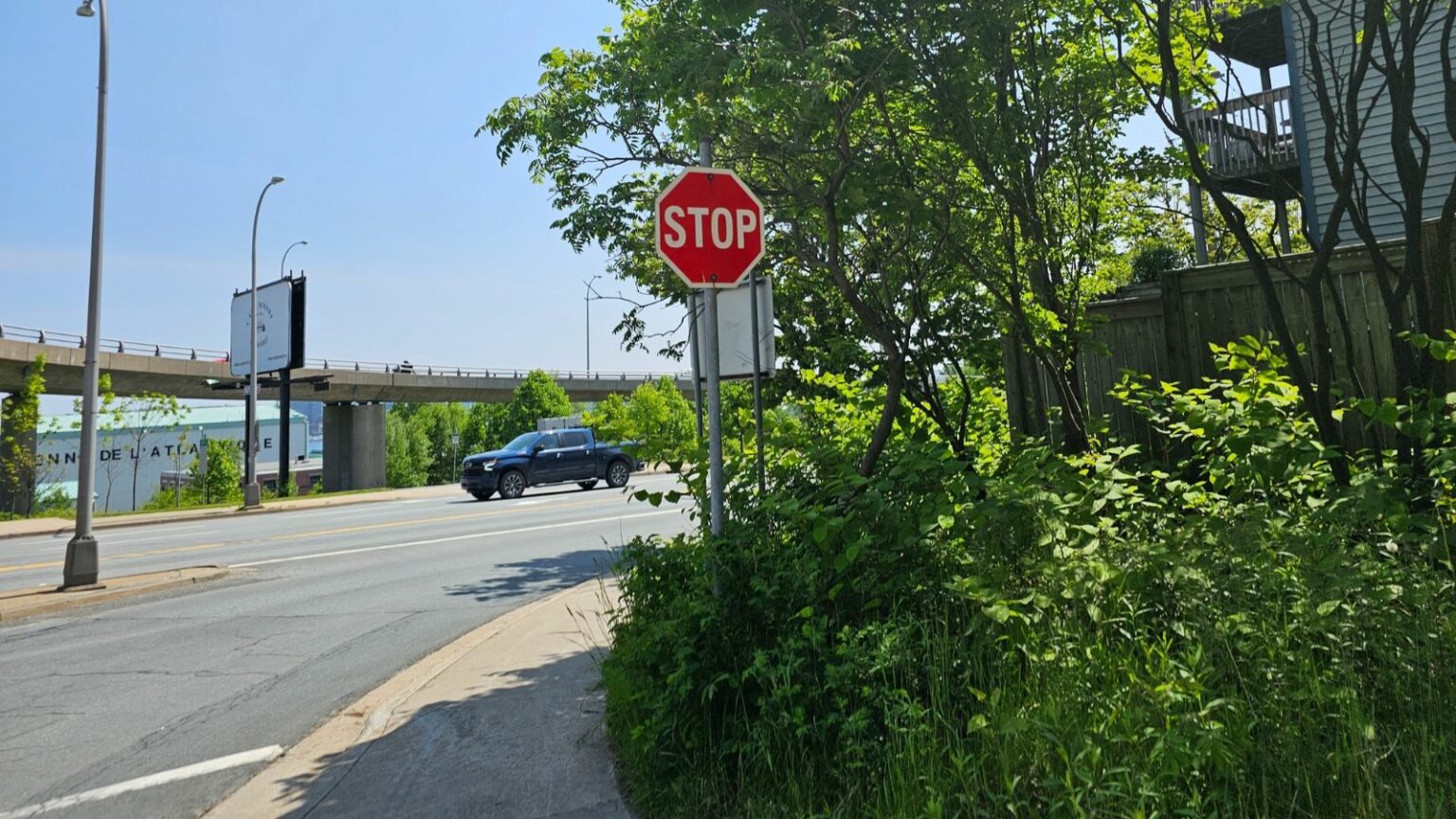 Seen a Blue Stop Sign? You’re Not Imagining It — Here’s Why They Exist ...